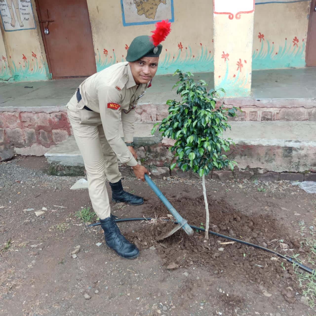 Tree Plantation – India NCC