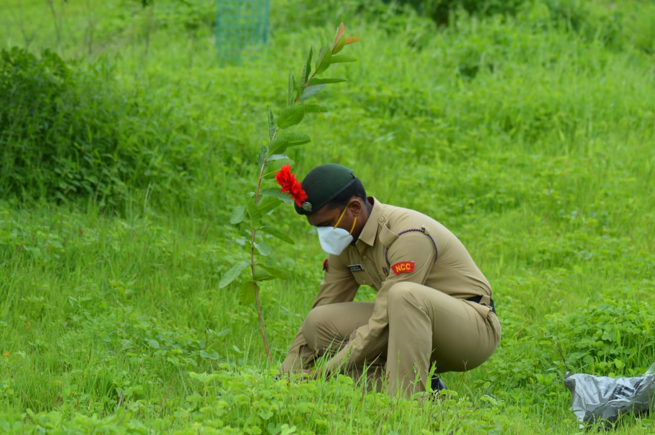Tree plantation – India NCC