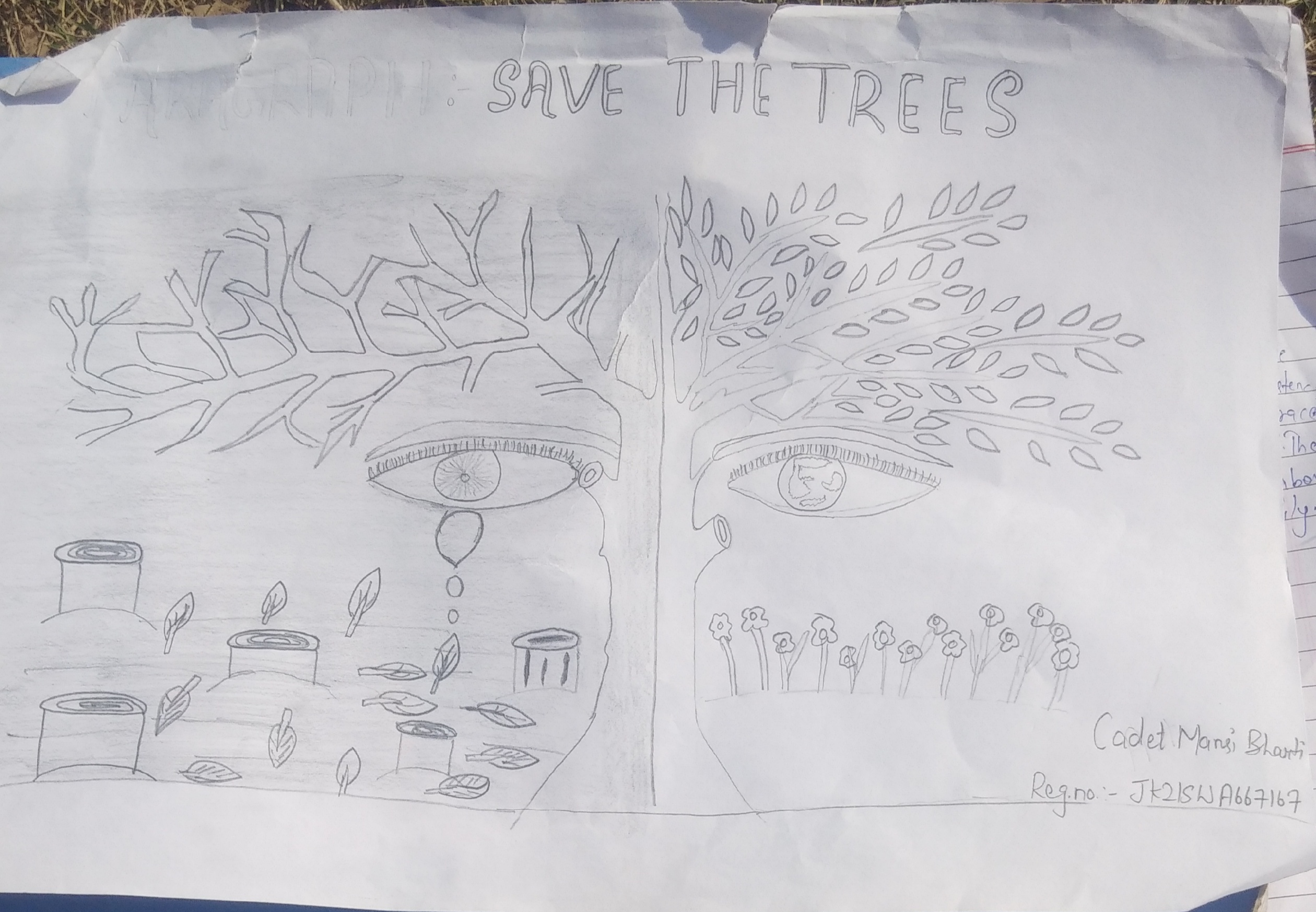Save the trees – India NCC