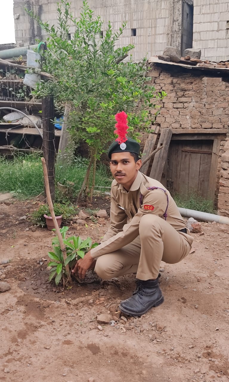 Tree plantation – India NCC