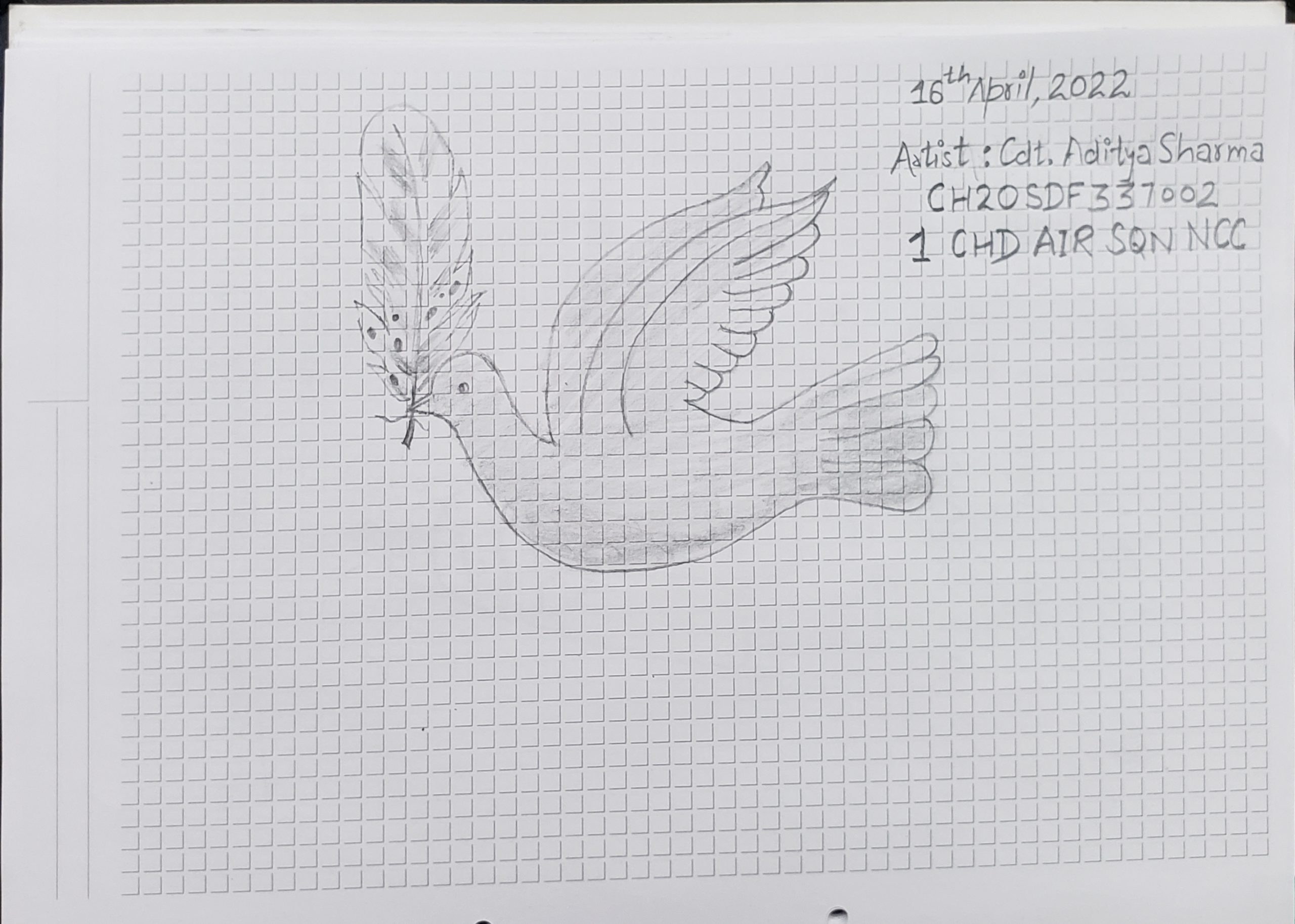 Sketch – India NCC