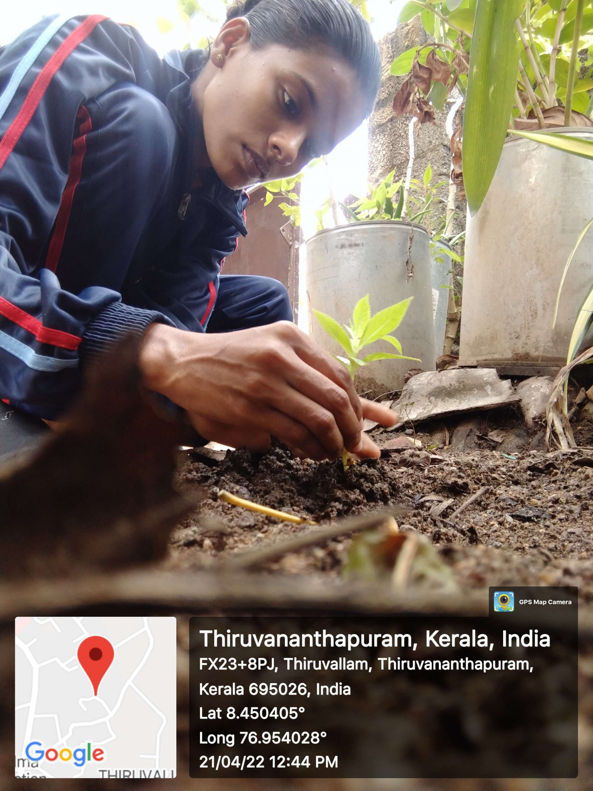 Poster – Tree plantation – India NCC