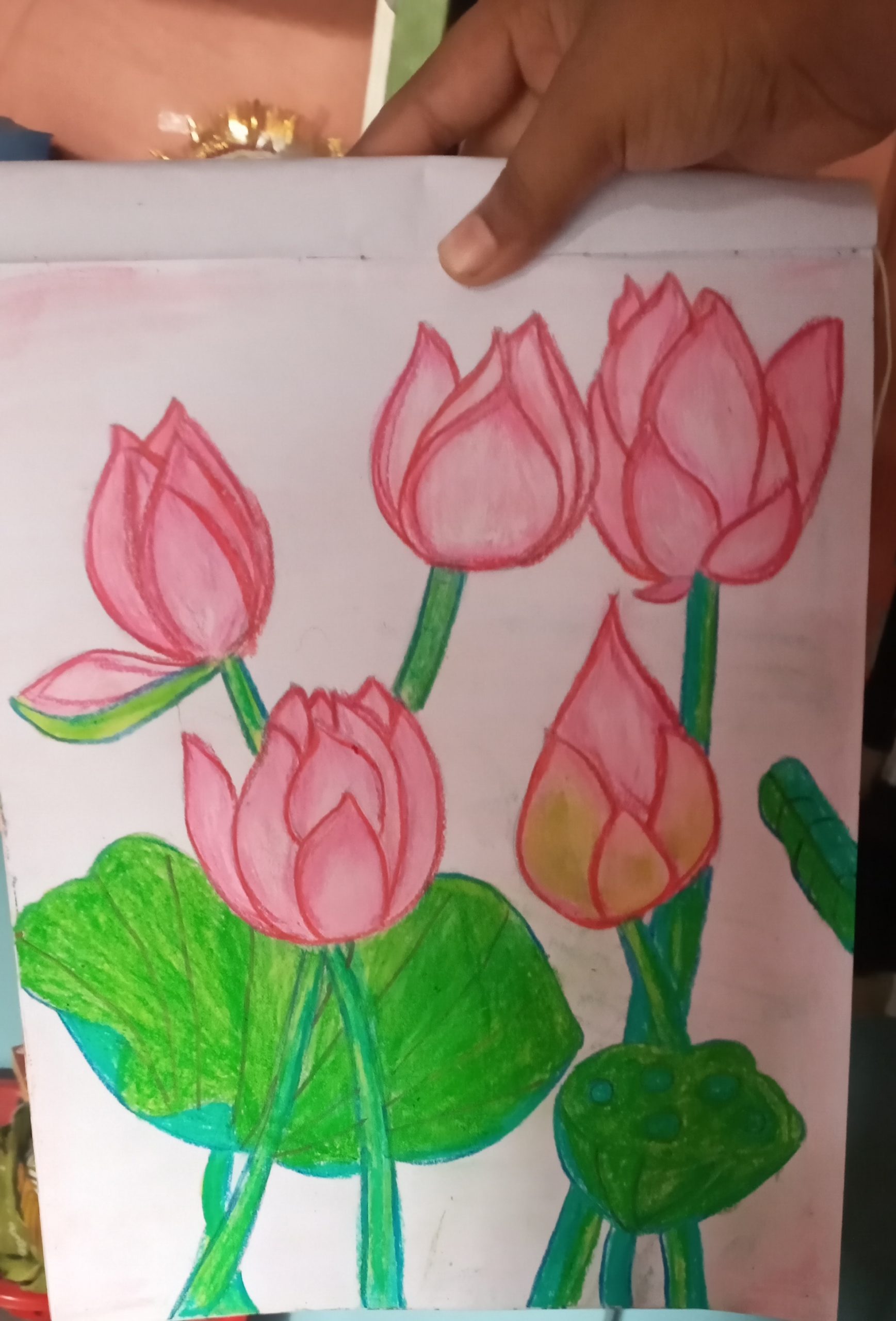 Drawing of lotus – India NCC
