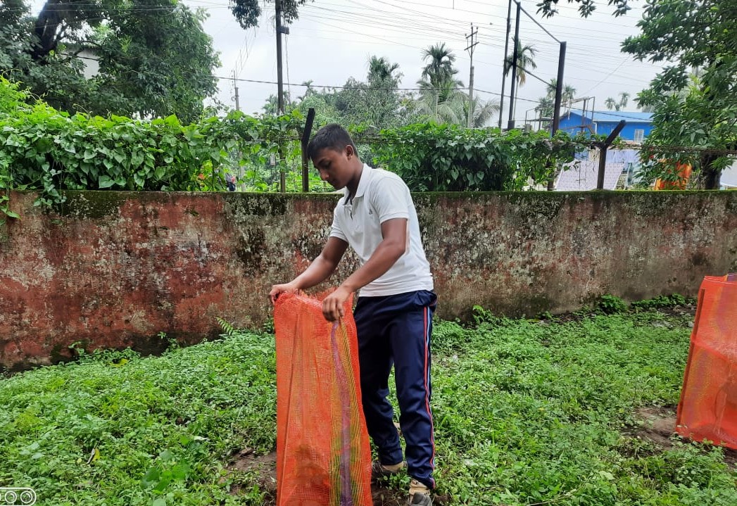 Tree plantation programme – India NCC