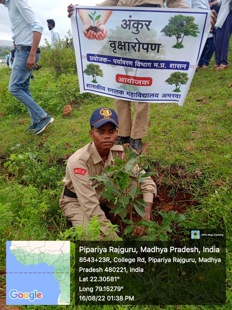 Plantation – India NCC