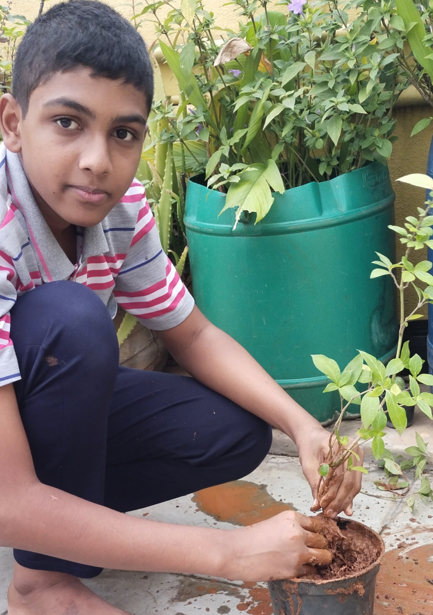 Planting – India NCC