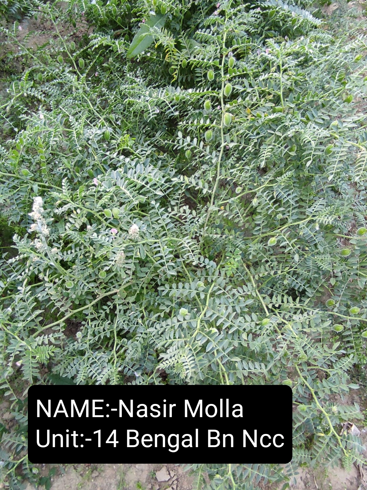 My experience in ncc – India NCC