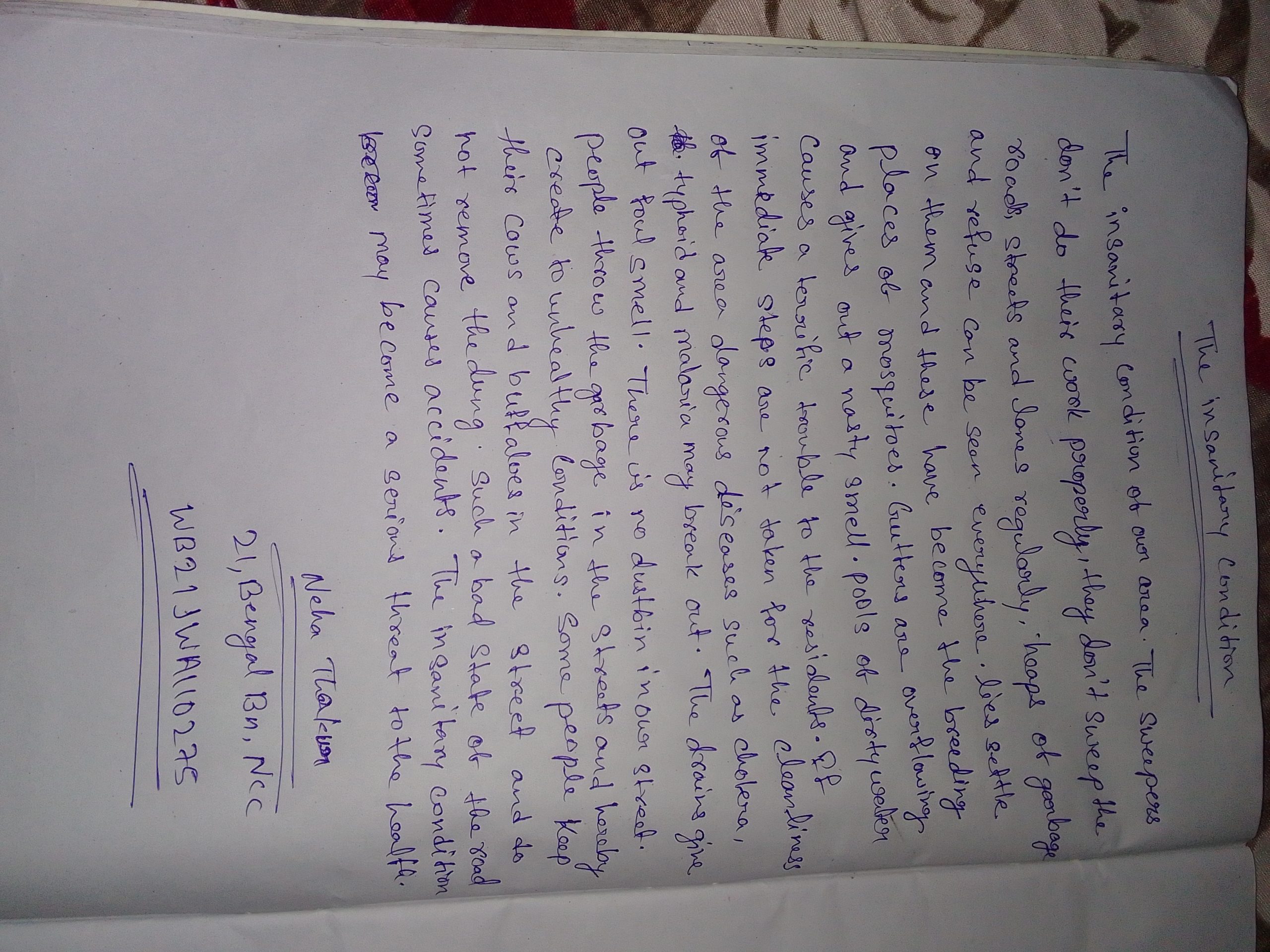 The Insanitary Condition India NCC