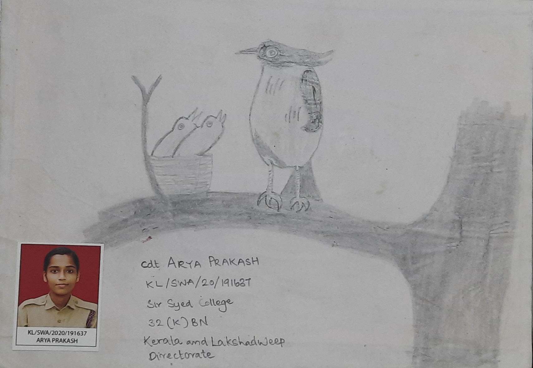 Drawing – India NCC