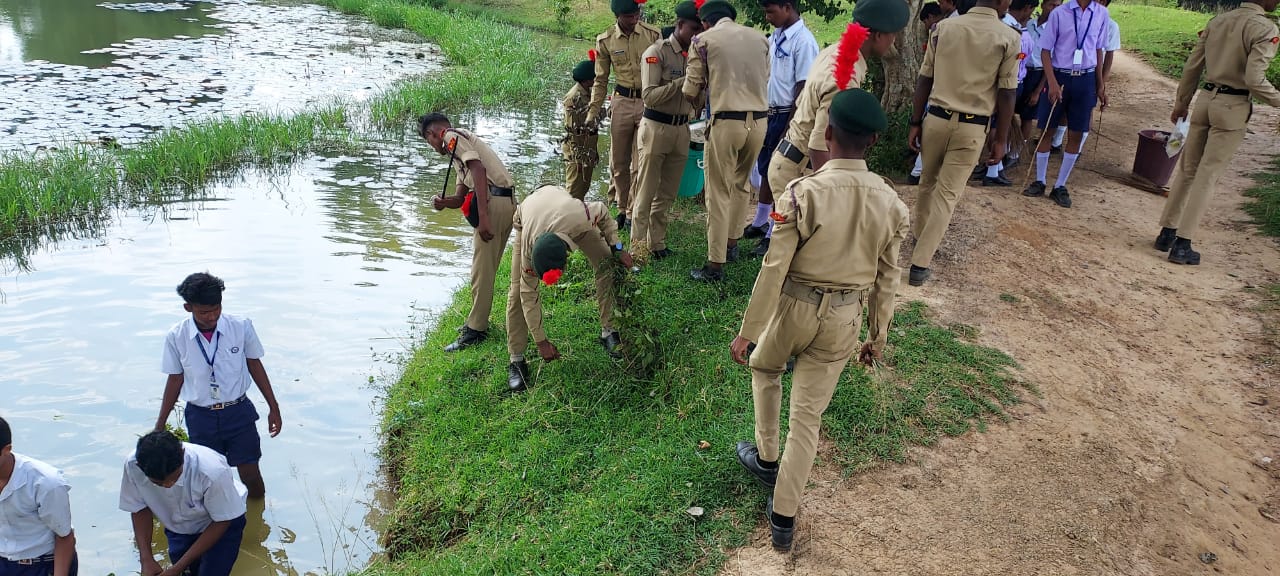 Cleaning of pond – India NCC