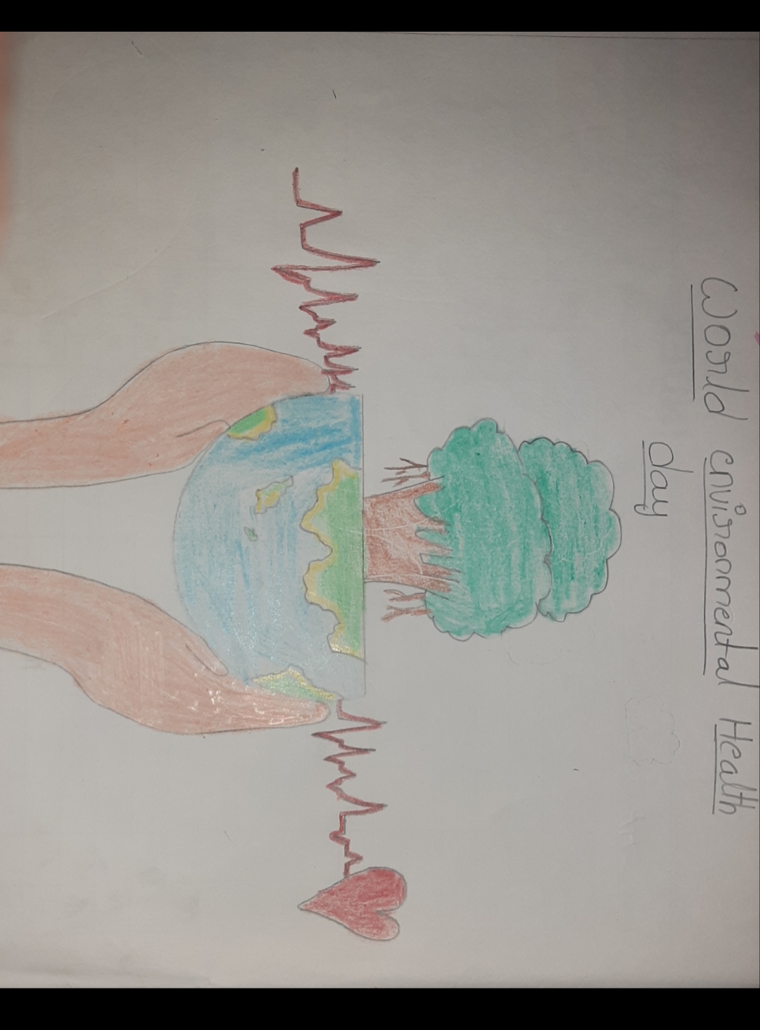 World environmental health day – India NCC