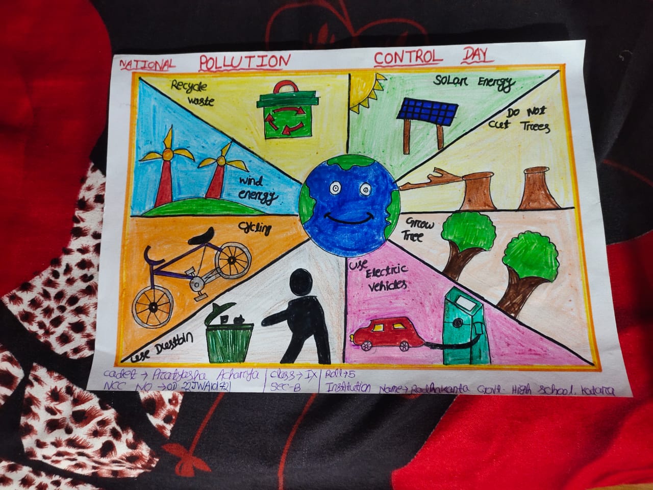 Pollution Drawing Competition