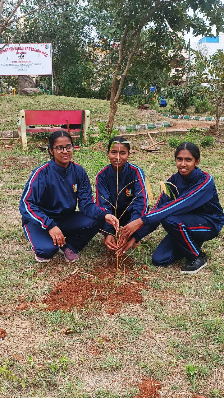 Tree plantation – India NCC
