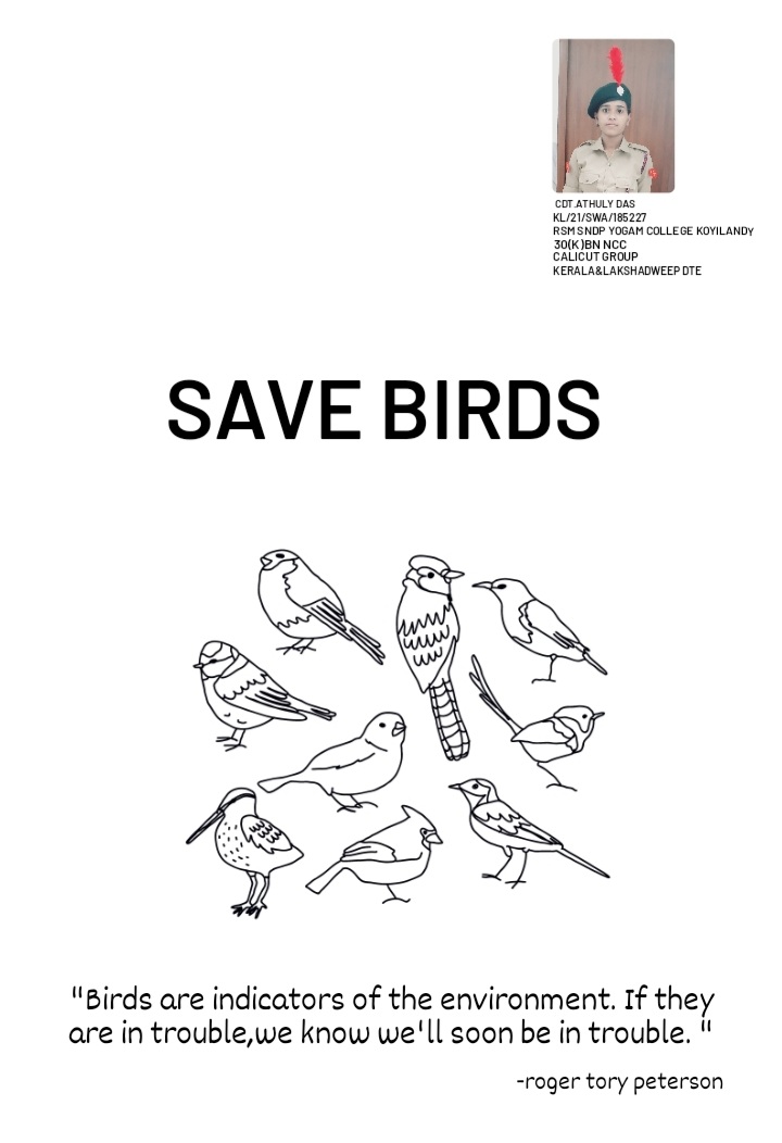 SAVE BIRDS – India NCC