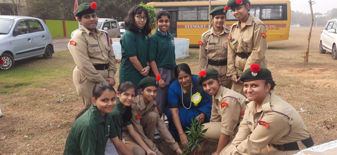 NCC Activity – India NCC