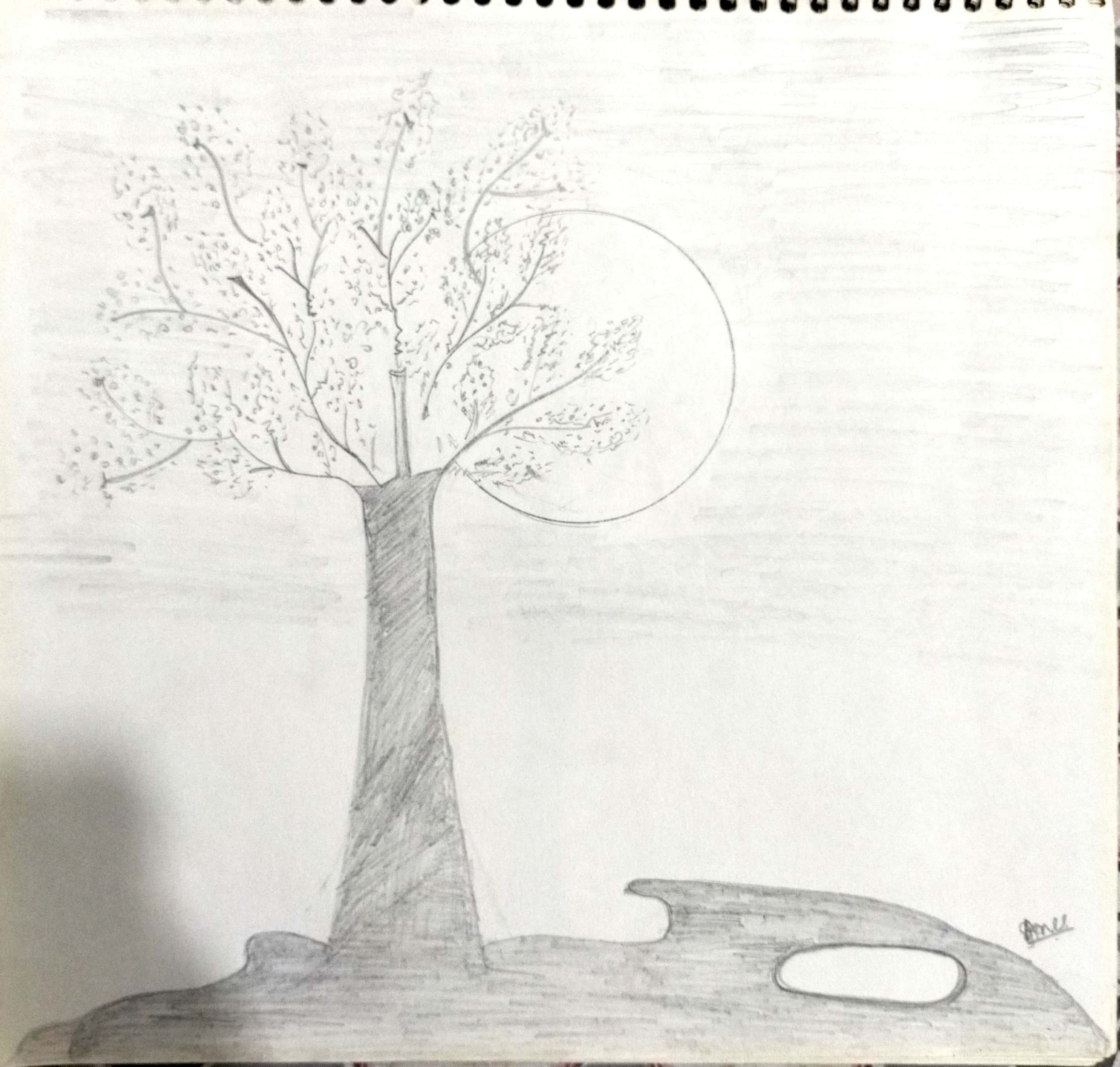 Drawing – India NCC