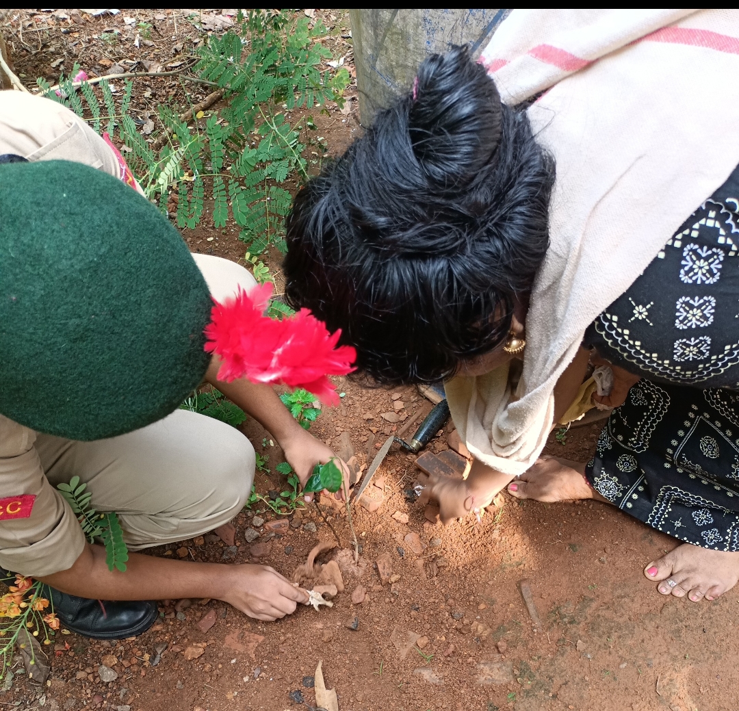 Environment day – India NCC