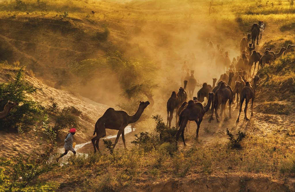 #ParyatanParv Contests’ Winner Announcement - MyGov Blogs