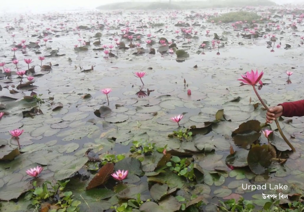 Goalpara – Abound With Nature & Spirituality - MyGov Blogs