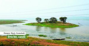 Beels - The saviour of Nature - MyGov Blogs