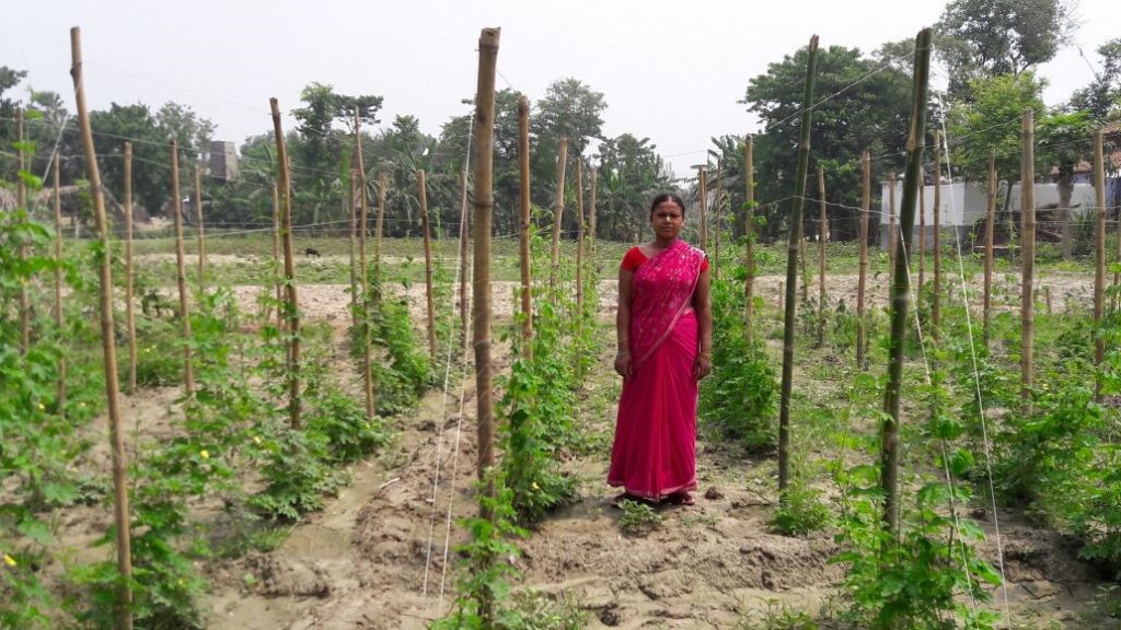 Improving livelihoods through adoption of best practices - Rinku Devi ...