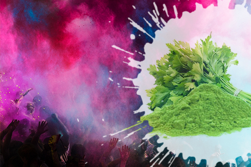 Blog_Thumbnail_Holi-01.jpg