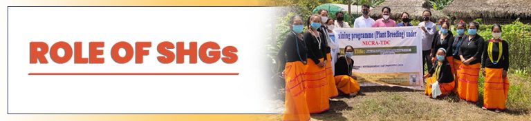 Role of SHGs in empowering the state of Arunachal Pradesh