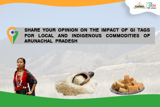 Share your opinion on the impact of GI tags for local and indigenous ...