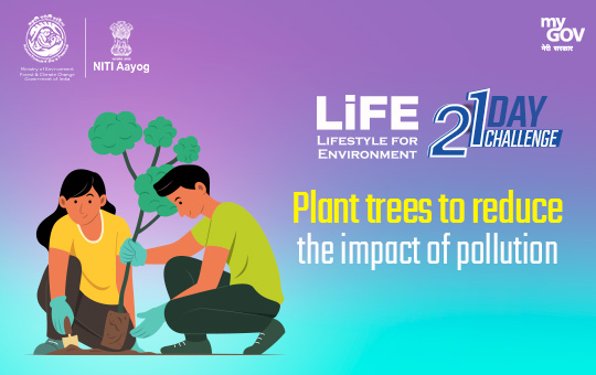 Day 9 - Plant trees to reduce the impact of pollution | MyGov.in