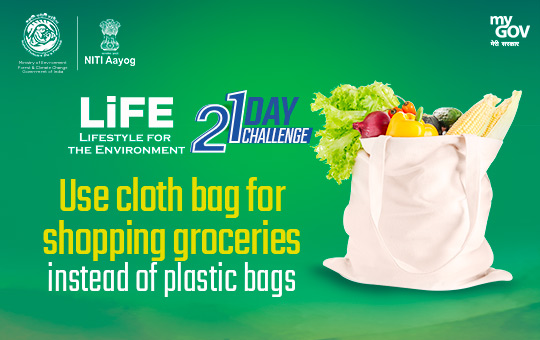 Day 2: Use cloth bags for shopping for groceries instead of plastic ...